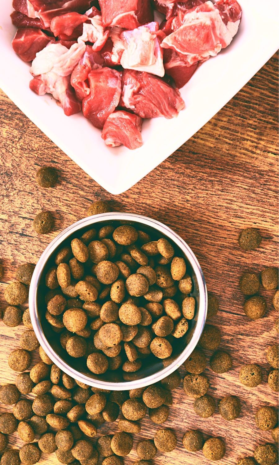 Added Color in Dog Food - Dog Nutrition DB