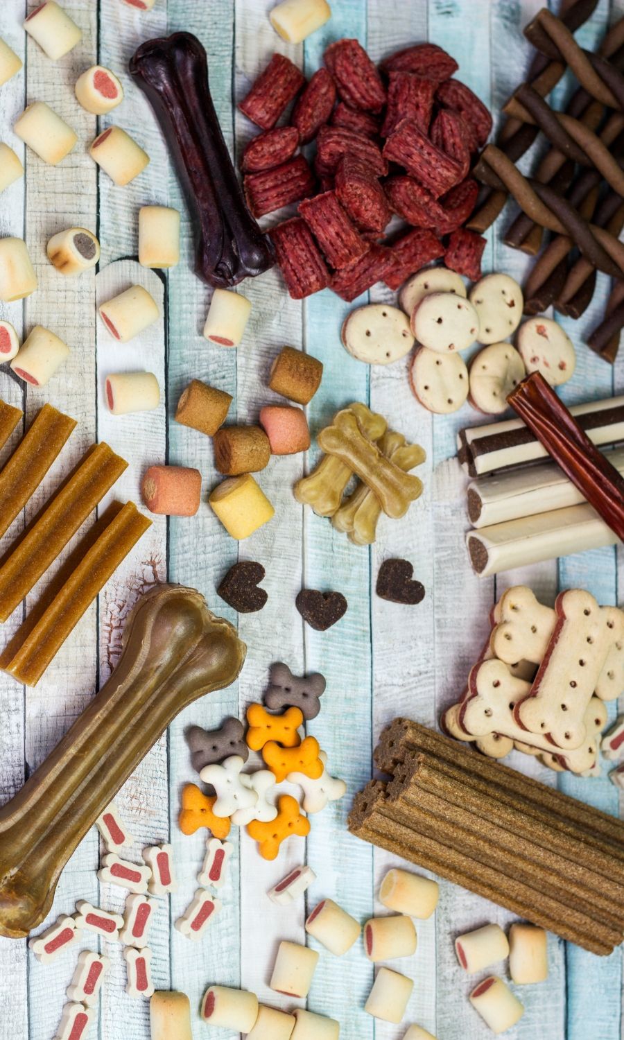 Added Color in Dog Food - Dog Nutrition DB