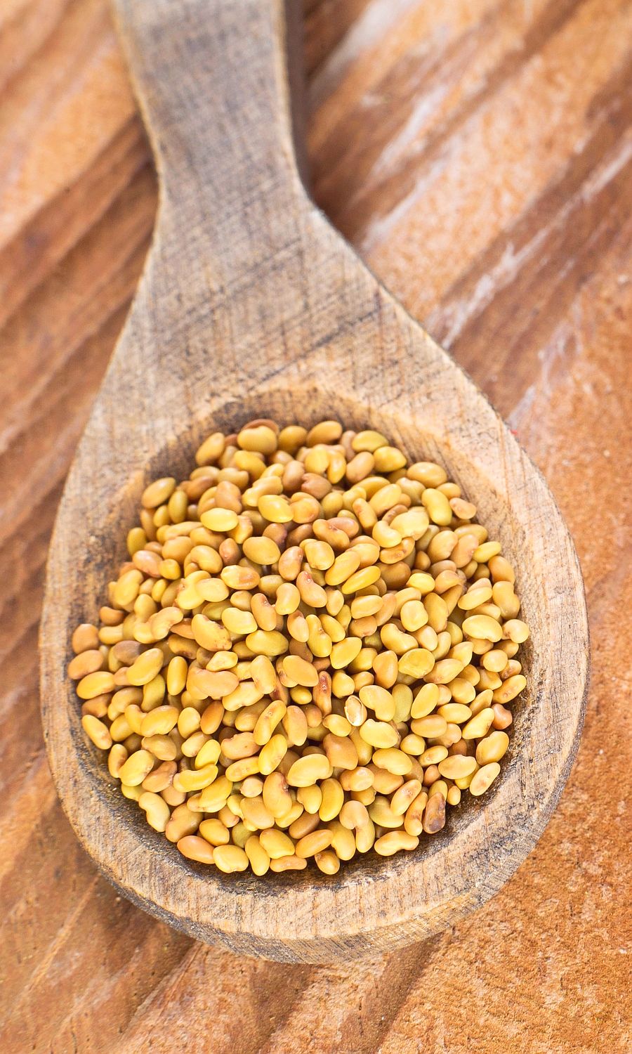 Alfalfa in Dog Food - Dog Nutrition DB