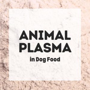 Animal Plasma in Dog Food - Dog Nutrition DB
