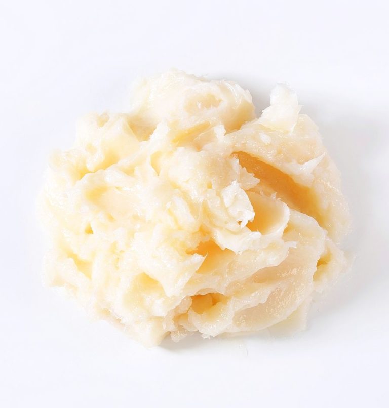 Animal Fat in Dog Food - Dog Nutrition DB