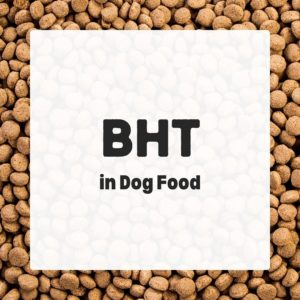 BHT in Dog Food - Dog Nutrition DB