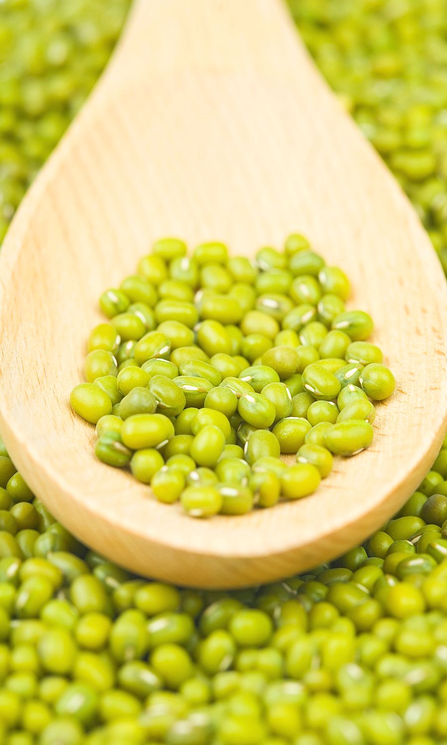 Beans in Dog Food - Dog Nutrition DB