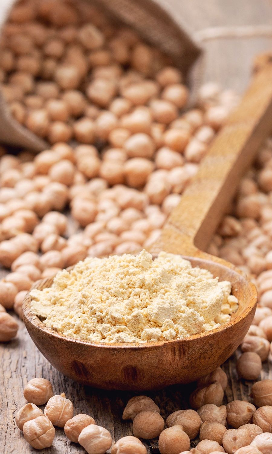 Chickpeas in Dog Food - Dog Nutrition DB