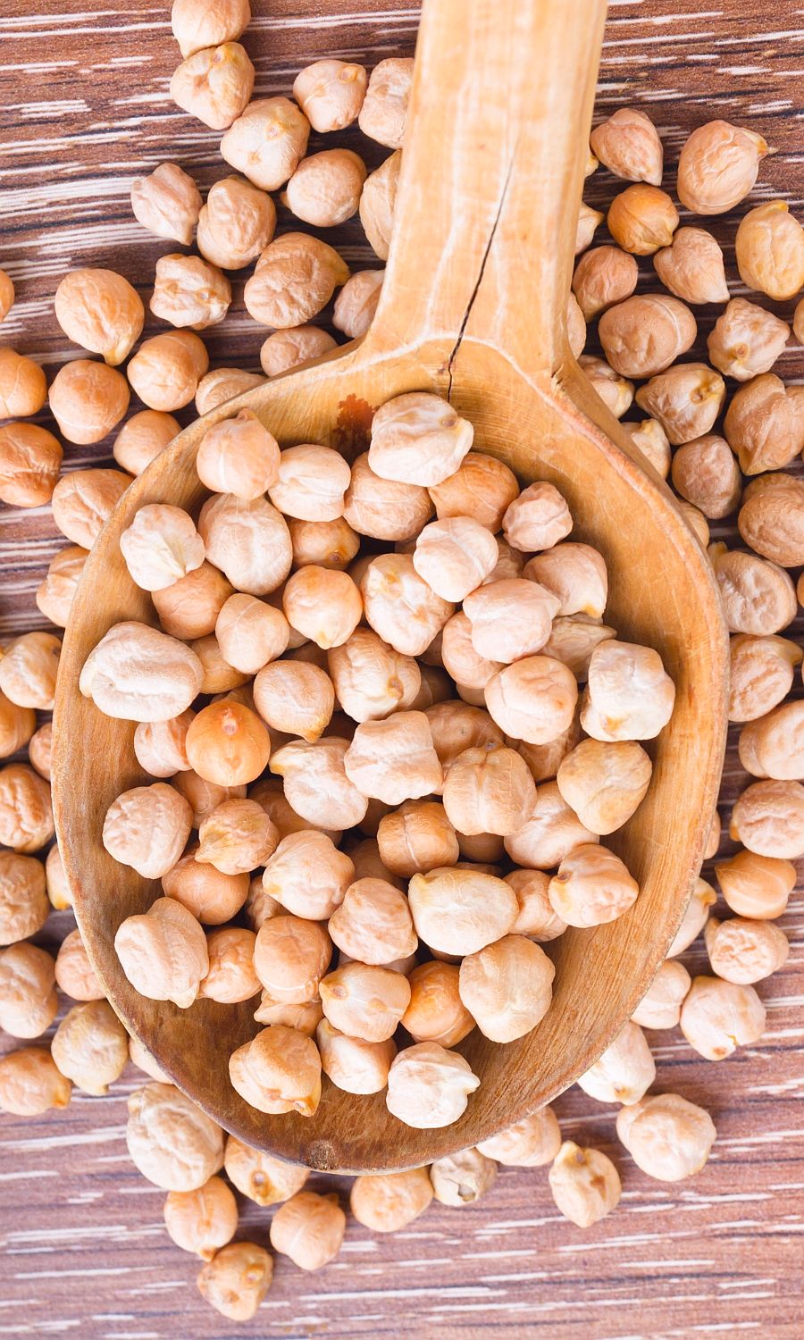 Chickpeas in Dog Food - Dog Nutrition DB