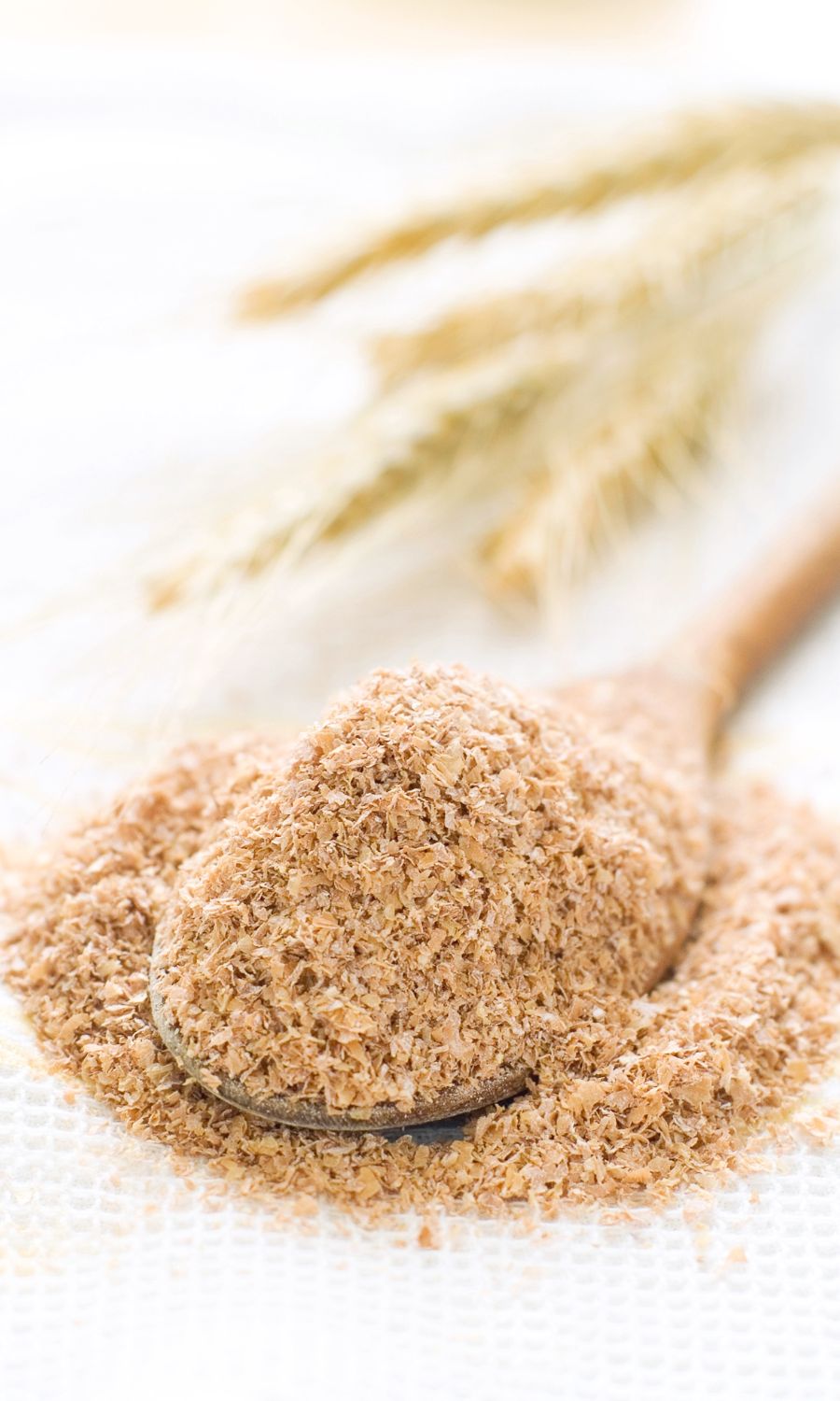 Oats in Dog Food - Dog Nutrition DB