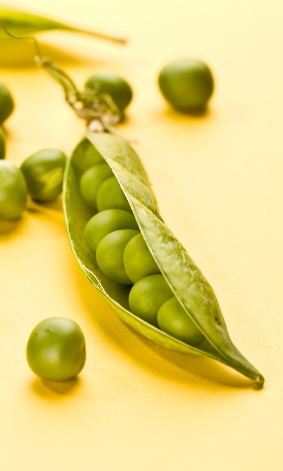 Peas in Dog Food - Dog Nutrition DB